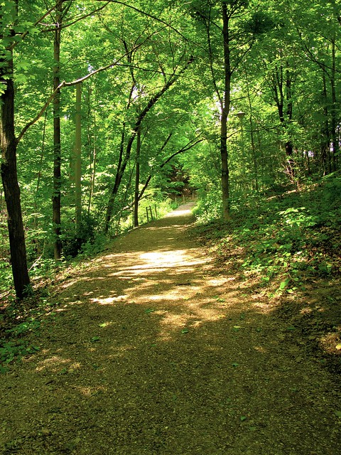 Remembering and Forgetting in Toronto’s Ravines – The Metropole