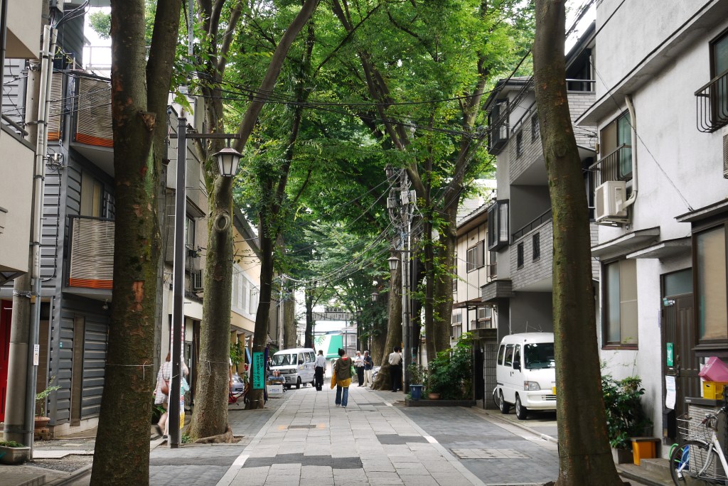 Demystified Tokyo Offers an Alternative Paradigm of Urban Planning—A ...